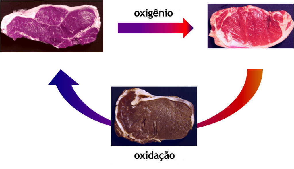 Entenda a cor da carne – charcutaria.org