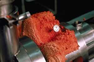 carne mecanicamente separada – charcutaria.org